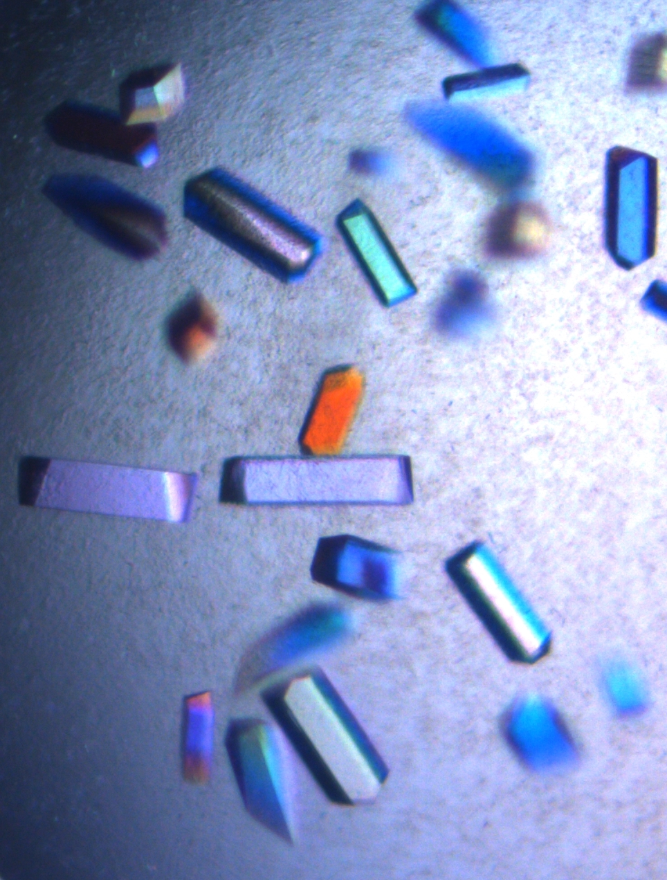 Our Crystal Gallery | DVasu Lab