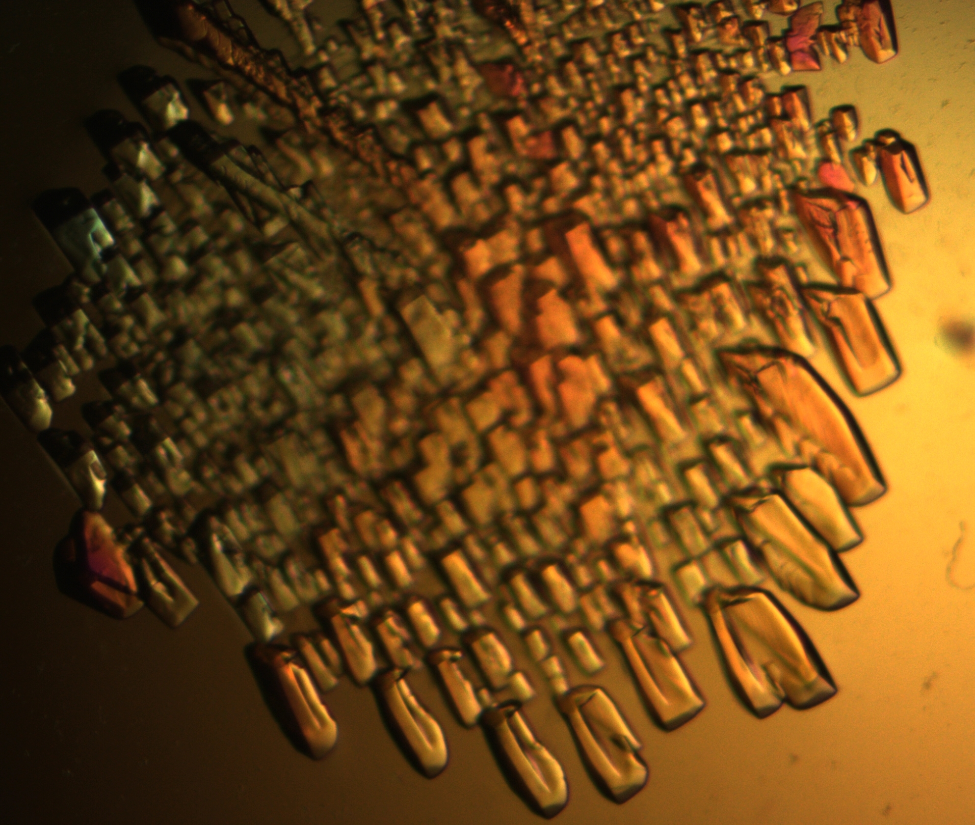 Our Crystal Gallery | DVasu Lab