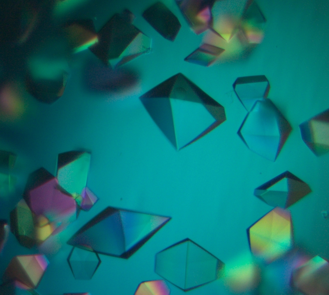 Our Crystal Gallery | DVasu Lab